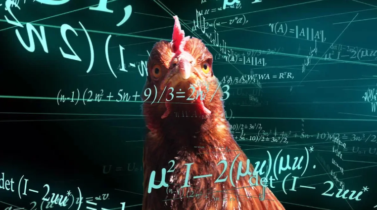 Chicken Math Explained – Chook Manor Ltd