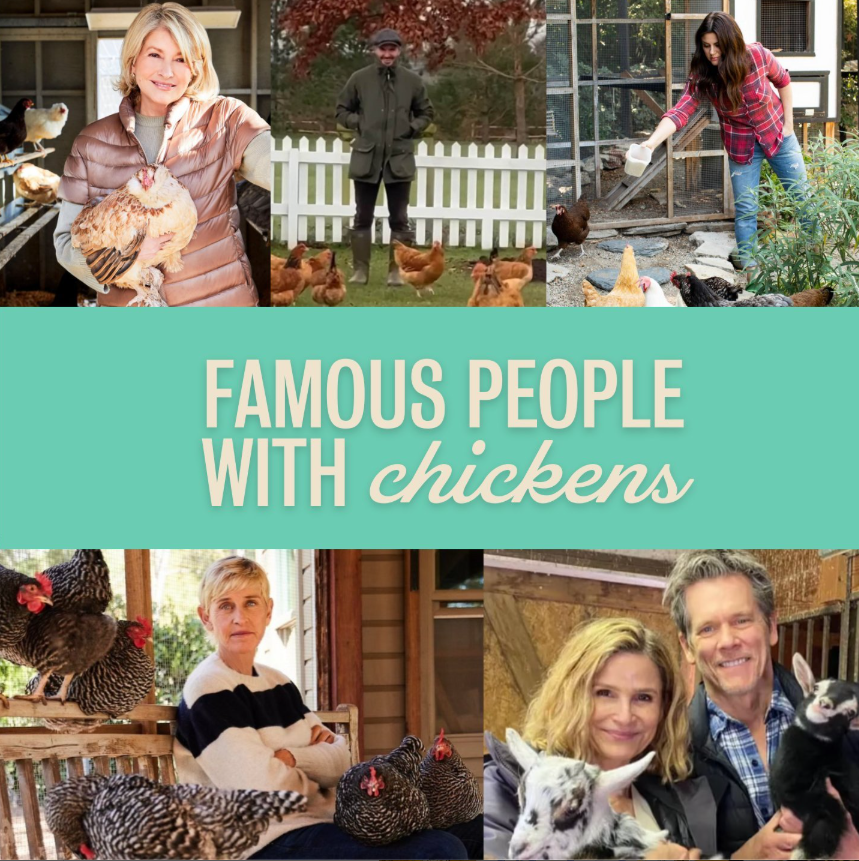 🐔 10 Famous People Who Keep Chickens (Yes, Really!) – Chook Manor Ltd