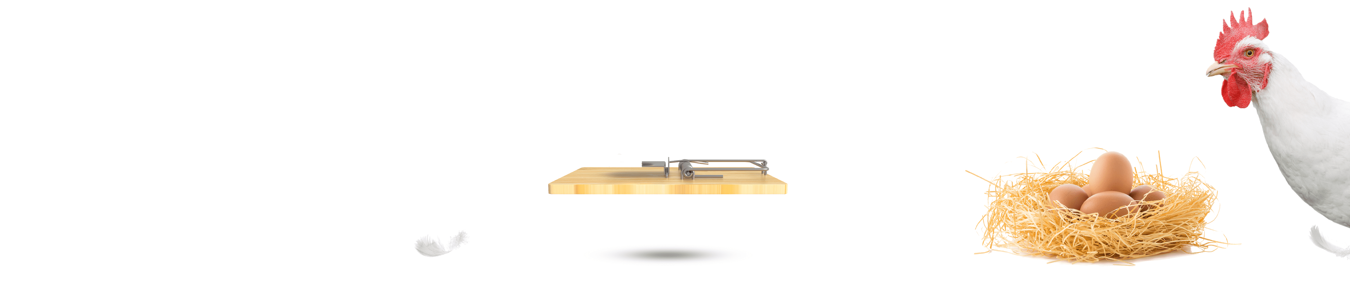 Pest, Mice, Rat, Rodent and Fly Traps - Chook Manor Ltd