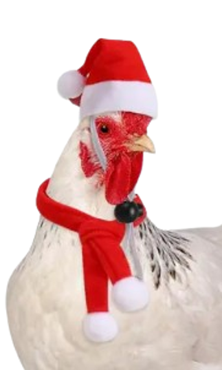 Christmas Chicken Costume – Chook Manor Ltd