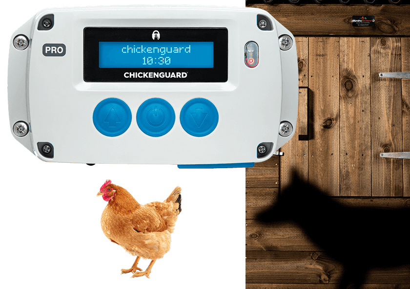 ChickenGuard Pro Coop Door Opener – Chook Manor Ltd