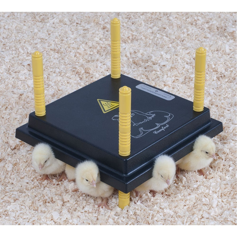 Poultry Brooding & Heating Equipment Online | Chook Manor