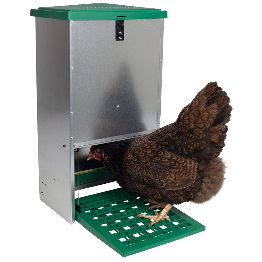 Chicken feeders & drinkers online | Chook Manor Ltd