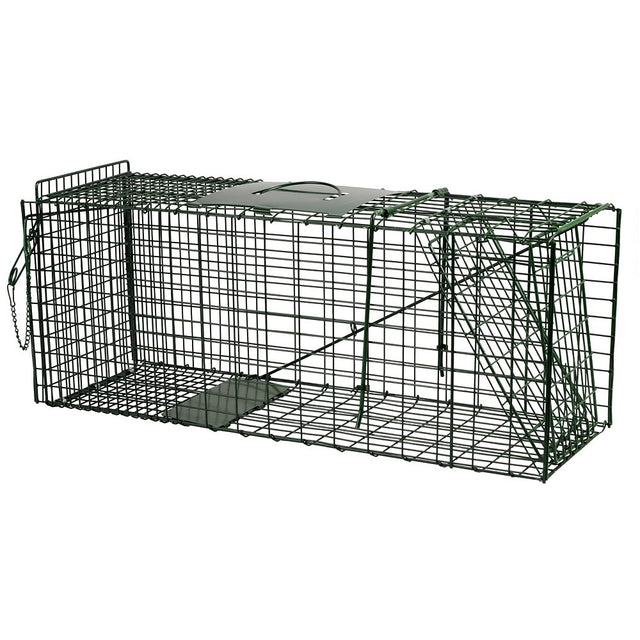 Live Capture Cage Trap Large Single Entry – Chook Manor Ltd