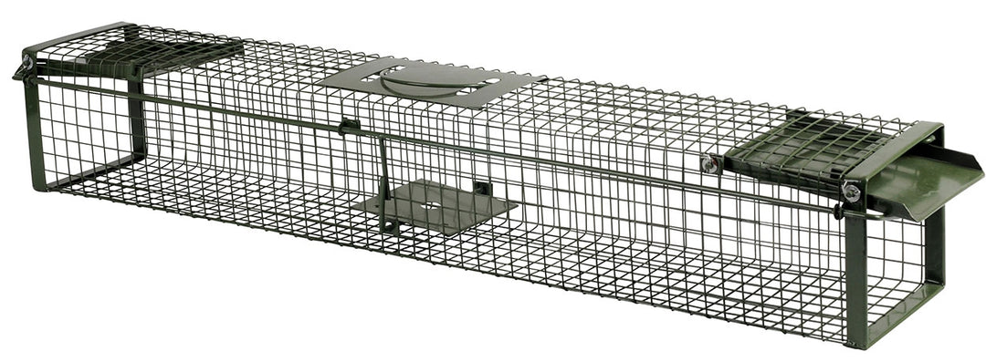 Live Capture Trap Double Entry Long Medium – Chook Manor Ltd