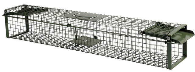 Live Capture Trap Double Entry Long Medium – Chook Manor Ltd