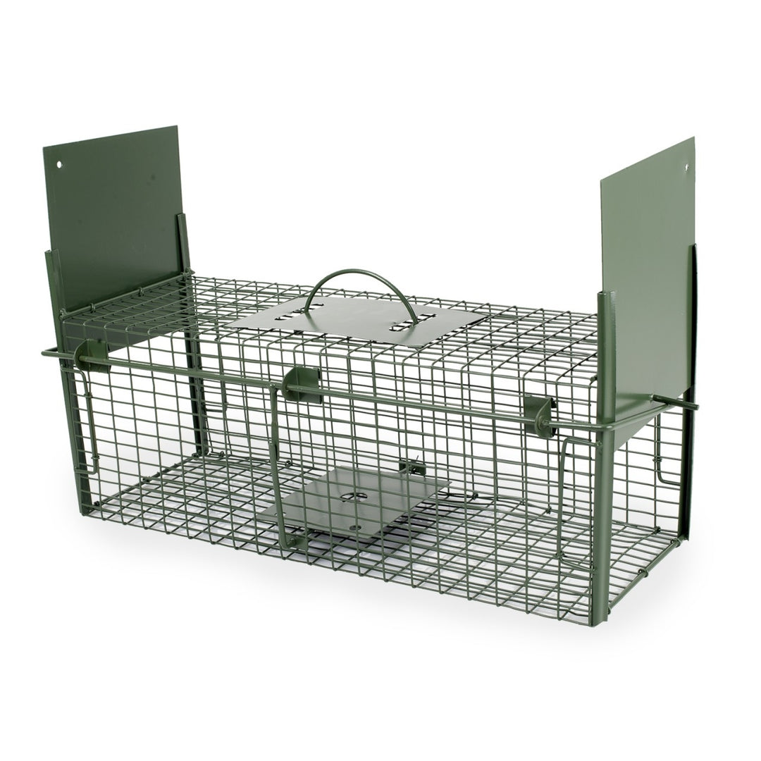 Live Capture Trap Double Entry Medium – Chook Manor Ltd