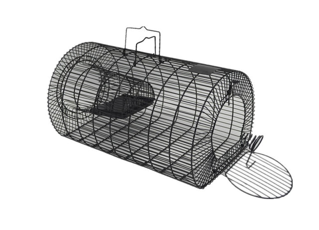Live Capture Rat Trap Multi Catch Medium – Chook Manor Ltd