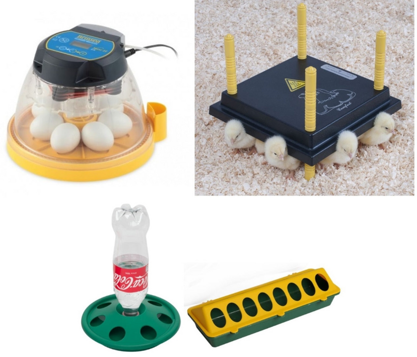 Products – Chook Manor Ltd